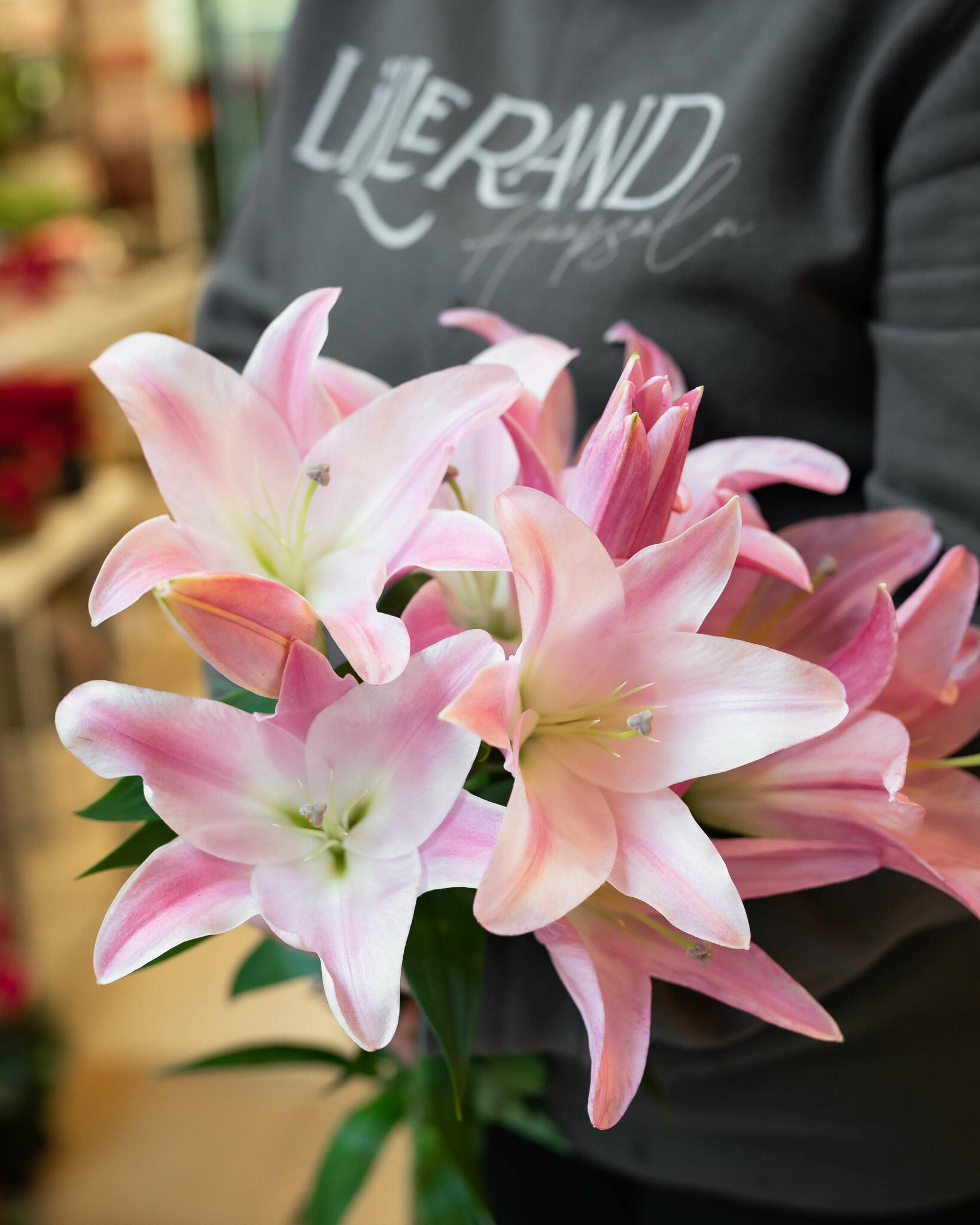 LIILIA (erinevad värvid) 7.00€ | Lillerand e-pood | Lille- ja ...