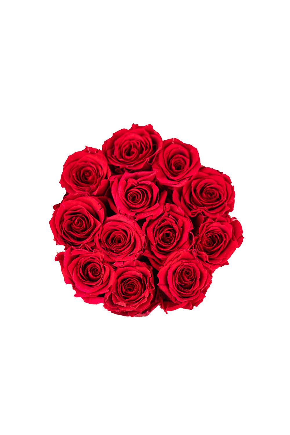 UINUVAD ROOSID | Lillerand e-pood | Lille- ja disainistuudio Haapsalus